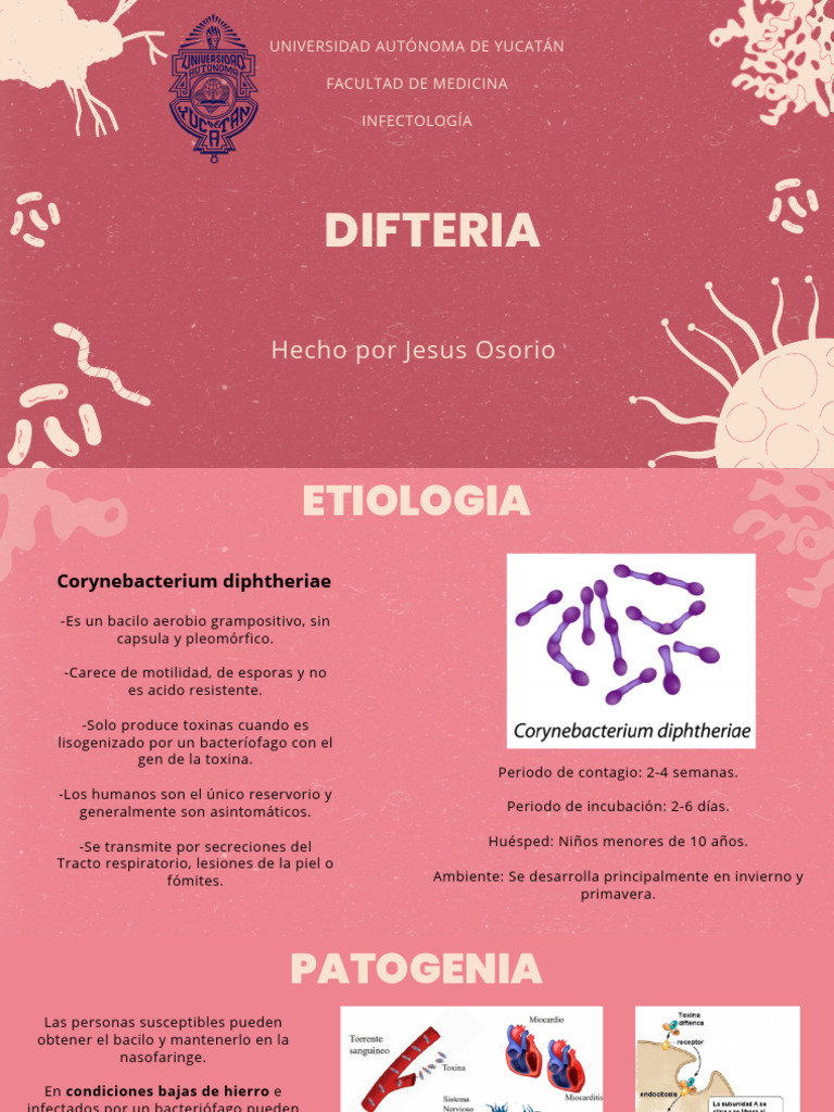 Difteria | PDF | Epidemiología | Medicina