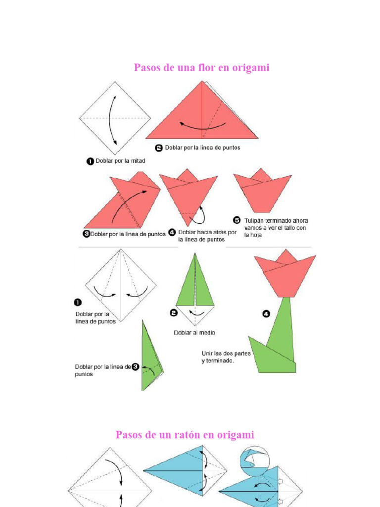 Pasos para Origami | PDF