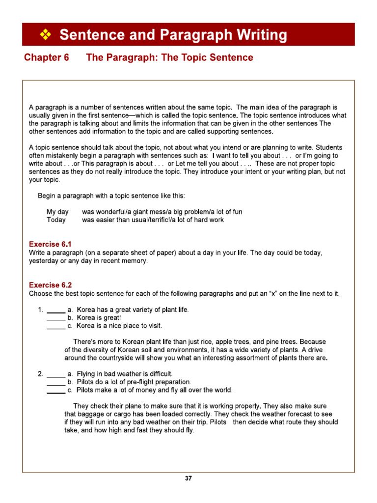 Sentence & Paragraph Writing | PDF