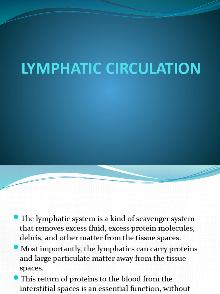 Lymphatic Circulation | PDF | Lymph | Lymphatic System
