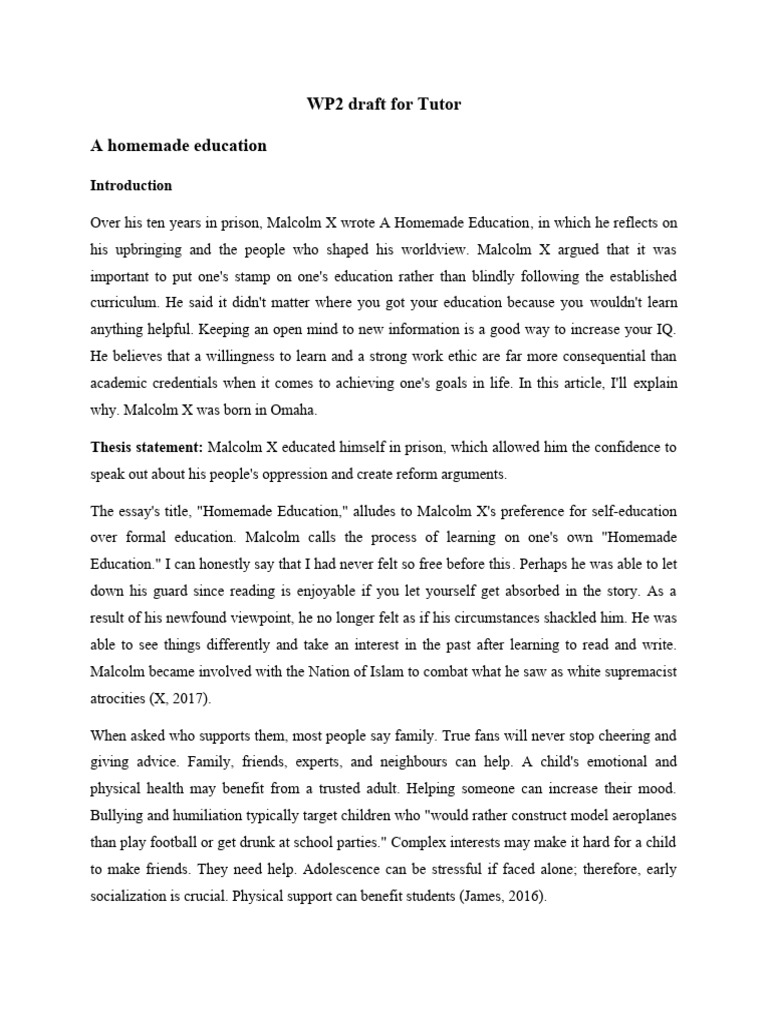 Annotated File | PDF | Malcolm X