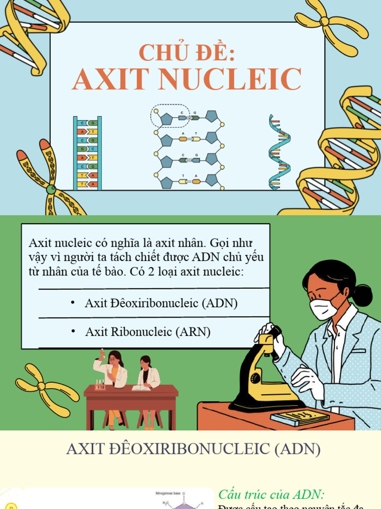 Axit Nucleic | PDF