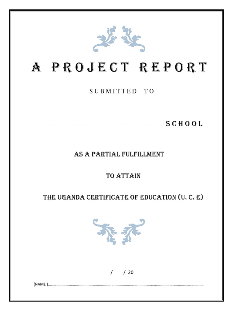 The Project Report - Final | PDF | Learning | Creativity