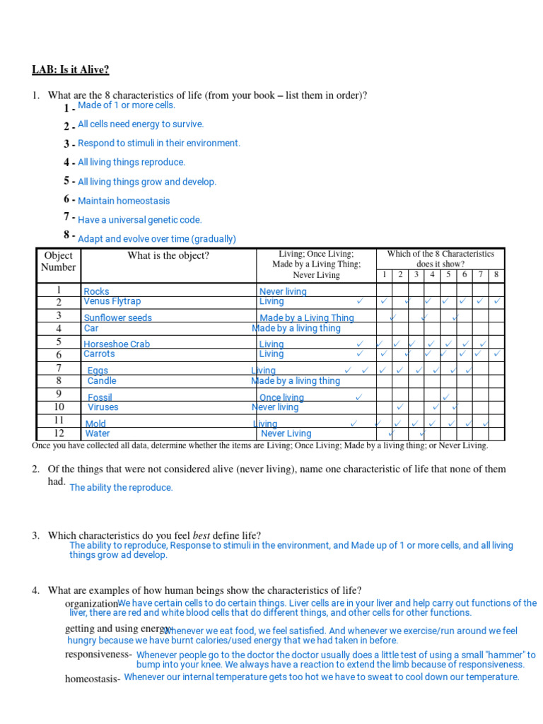 Char-Of-Life-Activity | PDF