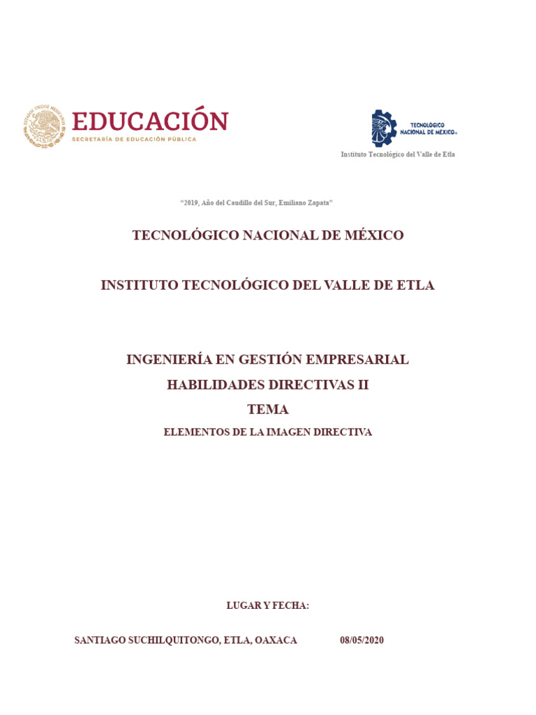 Elementos de La Imagen Directiva | PDF | Business | Marketing