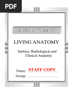 Chest X-Ray Template | PDF | Lung | Thorax