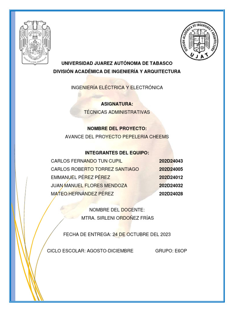 Papeleria Cheems Avance | PDF | Business | Calidad (comercial)