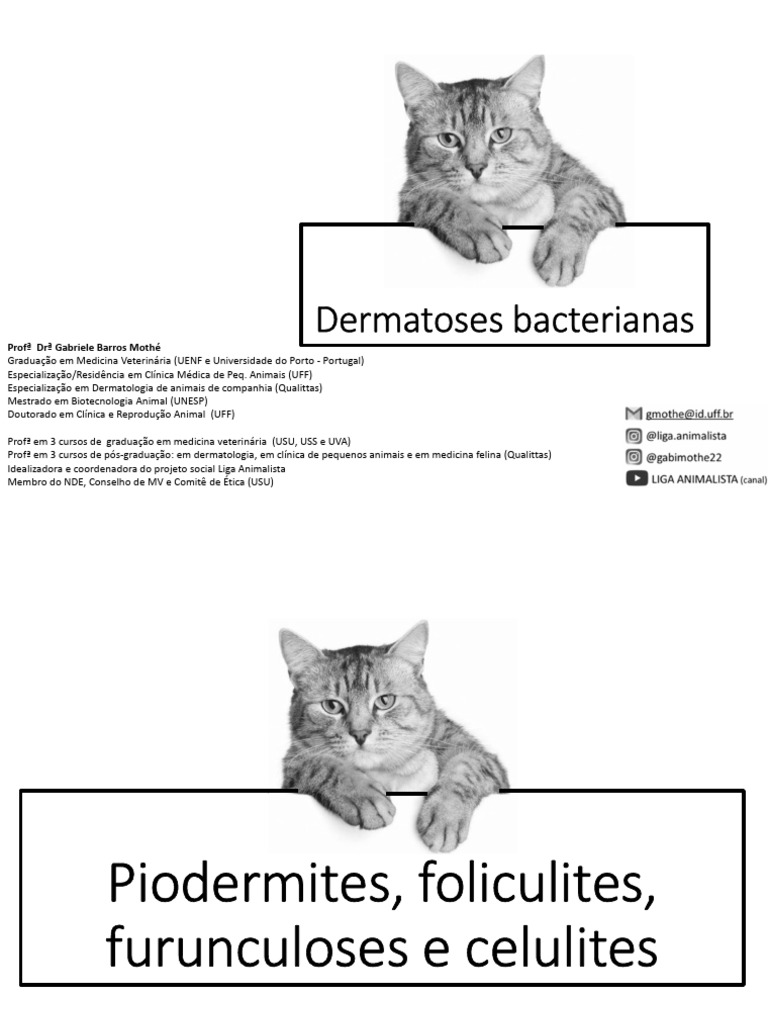 Patogenese Das Dermatoses Bacterianas Peb | PDF | Inflamação ...