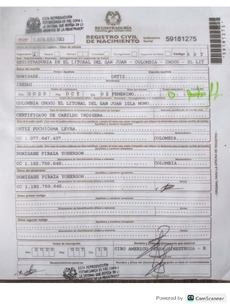 Documentos de Tini y Gato | PDF