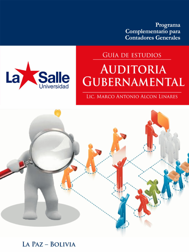 Texto Auditoria Gubernamental | PDF