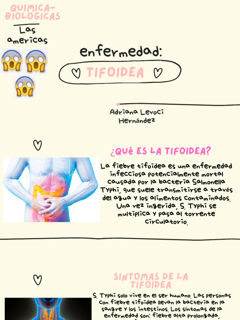 Tifoidea??? | PDF | Medicina CLINICA | Enfermedades y trastornos