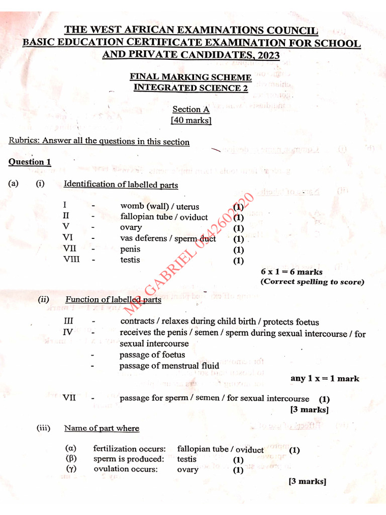 BECE 2023 SCIENCE Marking Scheme | PDF