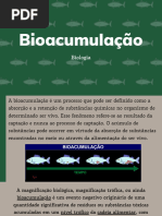 Bioacumulação e Biomagnificação: Conceitos e Exemplos | PDF | DDT ...