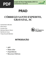 Modelo Do Prad Simplificado-Ativividade | PDF