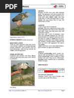 CLASS 3 SCIENCE CHAPTER 3 BIRDS Mrs. Geetarani Das | PDF | Birds | Feather