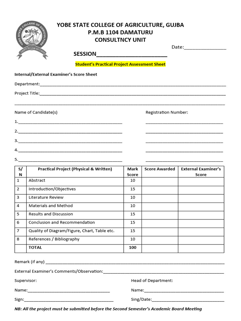 Project Assessment Template | PDF | Career & Growth