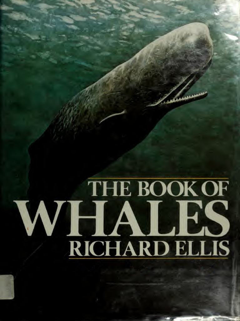 The Book of Whales - Ellis, Richard, 1938 - 1st Ed., New York, 1980 - New York - Knopf ...
