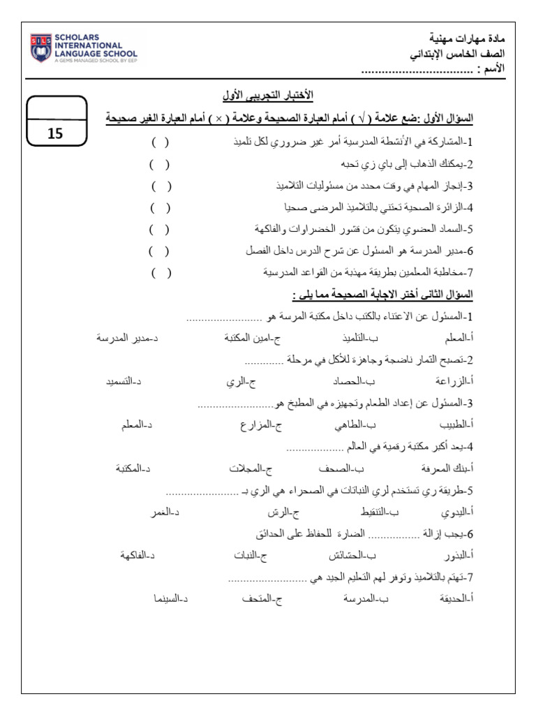 silsN@20242023-10-261698332423Mock Exam Y5-2 | PDF