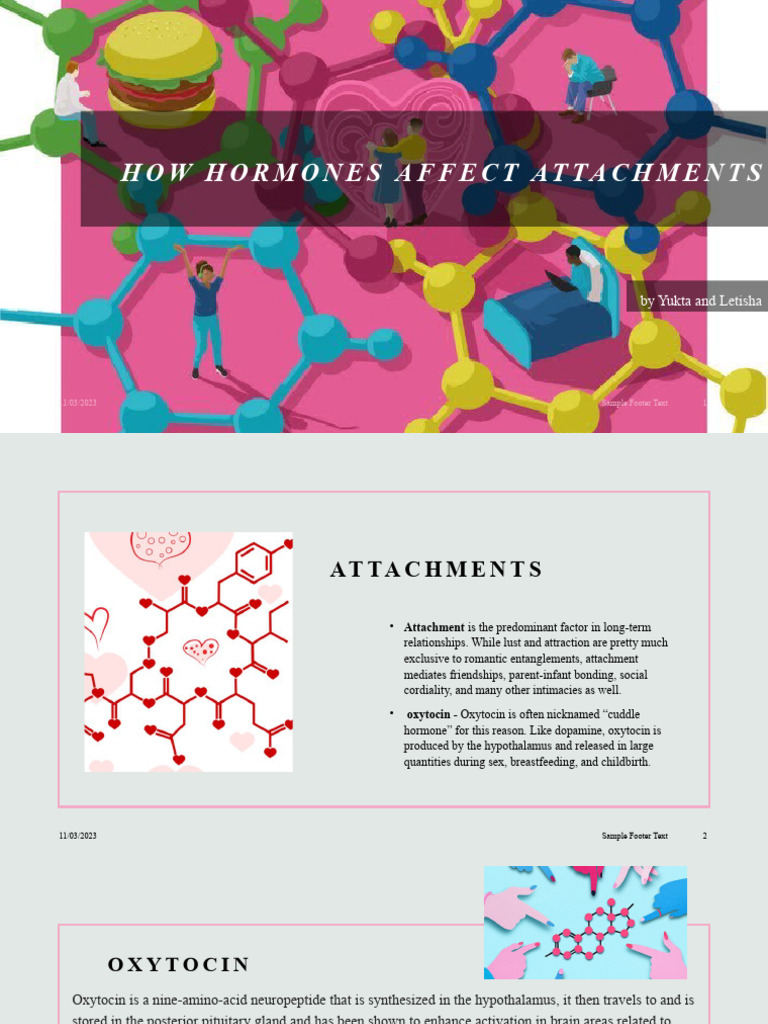 Attachments | PDF | Attachment Theory | Pregnancy