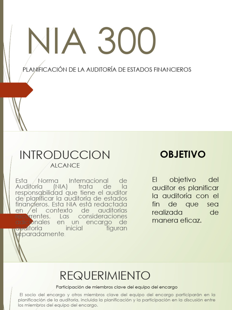 NIA 300 | PDF | Auditoría | Planificación