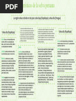 Selva Alta o Rupa Rupa | PDF