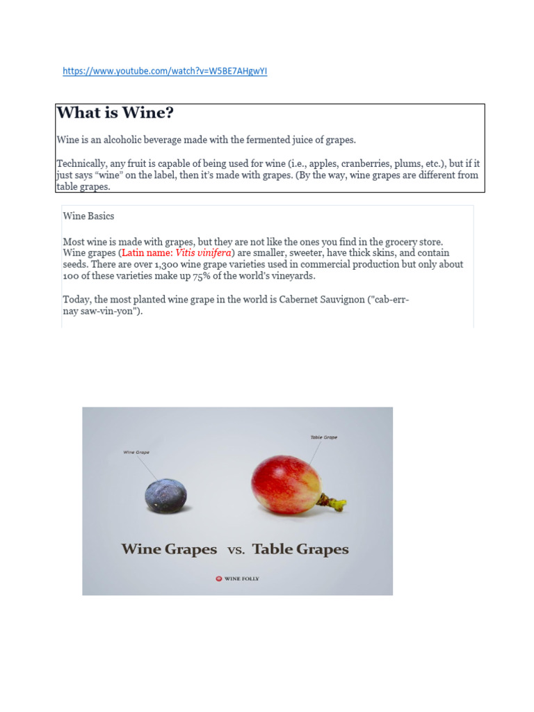 Wine Basics | PDF | Wine | Grape