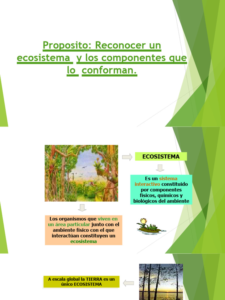 Ecosistema y Sus Componentes | PDF
