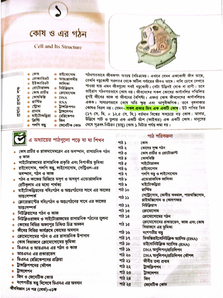 HC 160925 288233 934122 20231011065308 Cell-Azibur | PDF