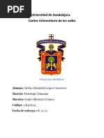 Sincitio Cardiaco | PDF | Corazón | Anatomía