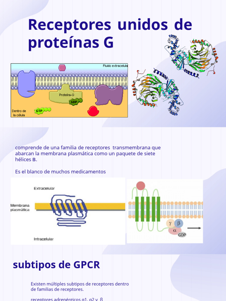 Receptores Unidos de Proteínas G | PDF | Receptor (Bioquímica) | Transducción de señales