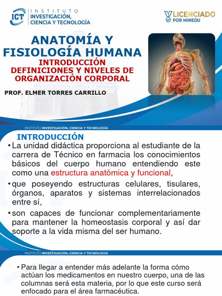 Anato-Fisio Clase 1 Conceptos y Niveles Organización | PDF | Sistema digestivo humano | Química
