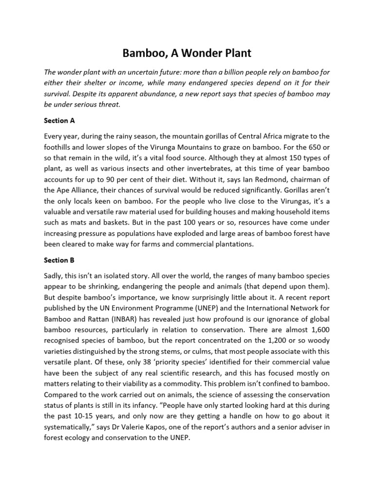 Bamboo A Wonder Plant | PDF | Bamboo | Conservation Biology