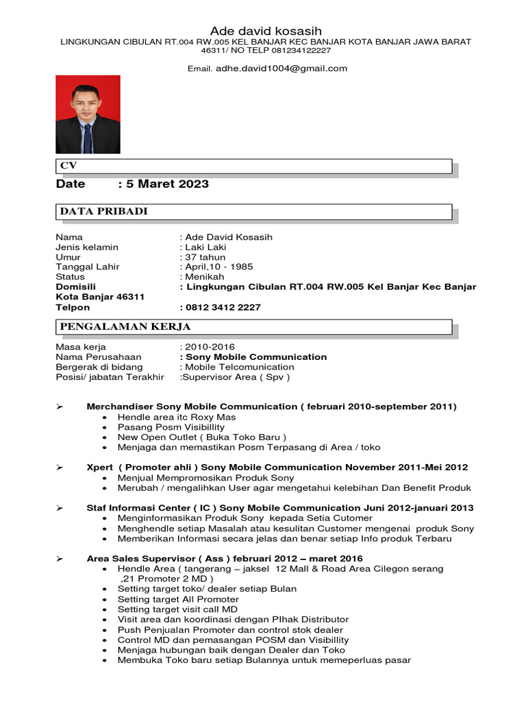 CV Ade David New | PDF