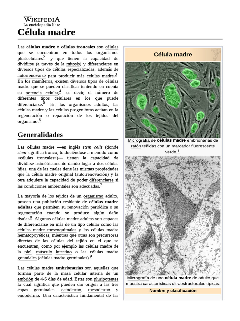 Célula Madre | PDF | Célula madre | Embrión