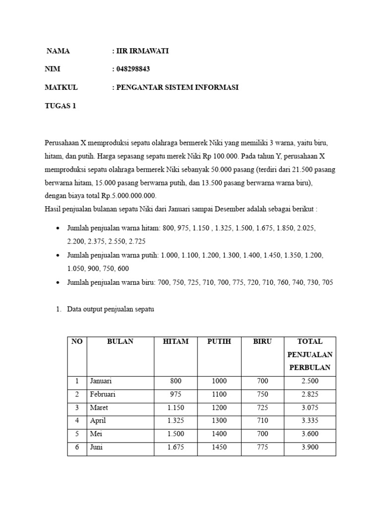 Iir Irmawati - Tugas 1 - Pengantar Sistem Informasi | PDF