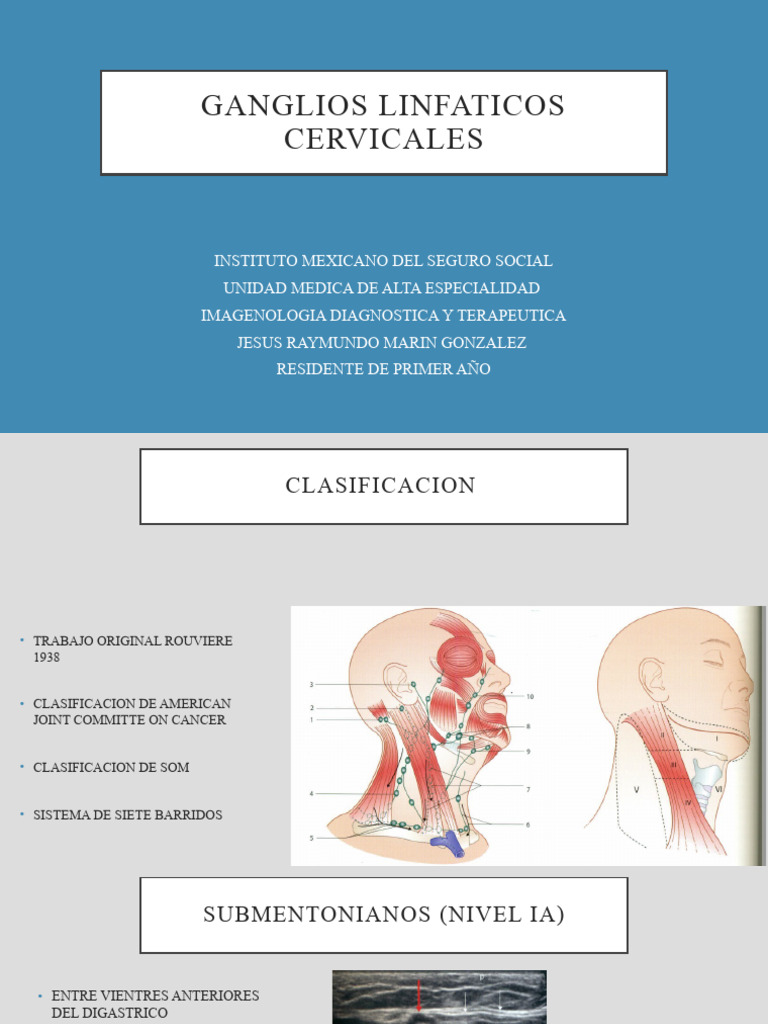 Anatomía de Ganglios Linfáticos Cervicales | PDF | Boca | Anatomía