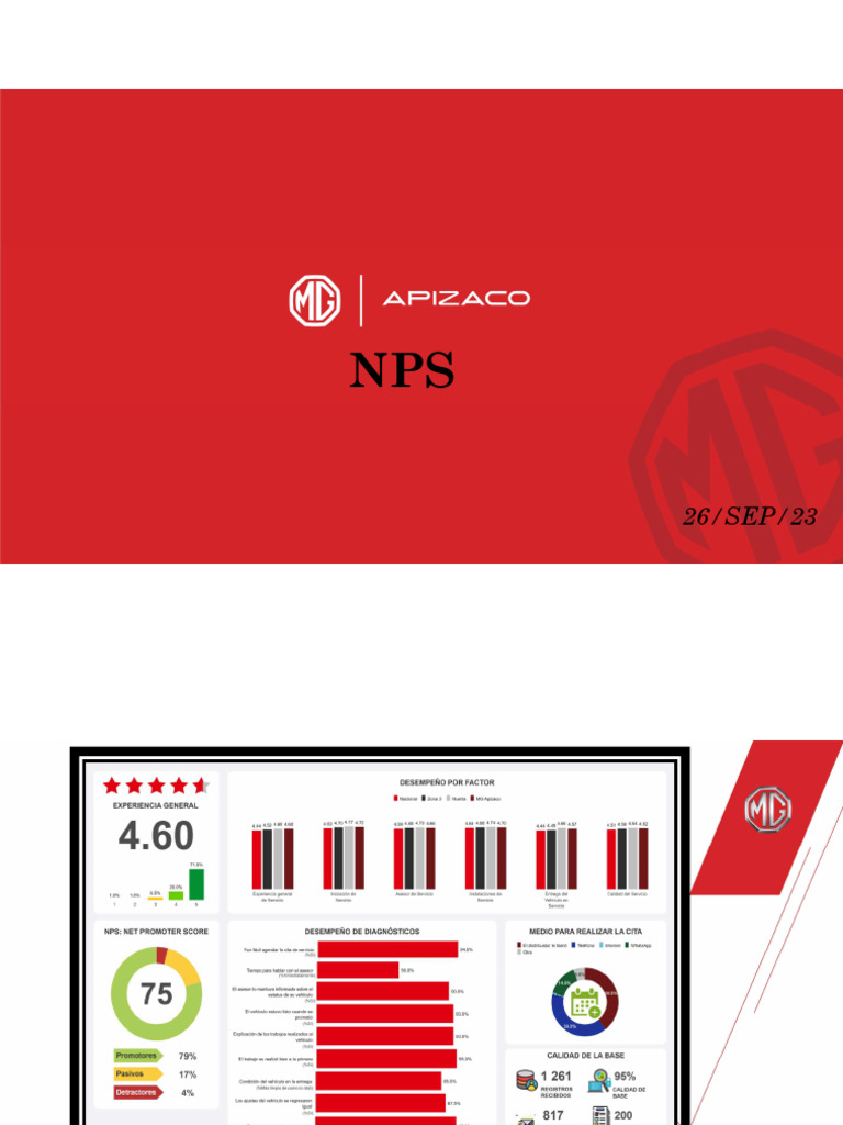 PLAN DE ACCIÓN NPS | PDF
