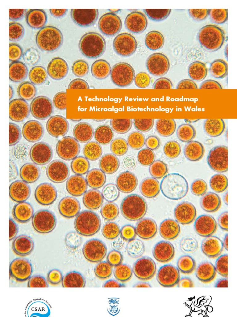 Microalgal Biotechnology, Technology Review and Road Map | PDF ...