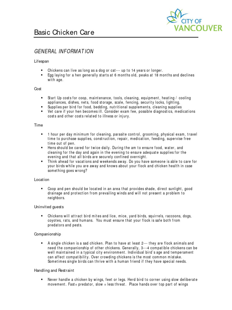 Basic Hen Care | PDF | Poultry Farming | Chicken