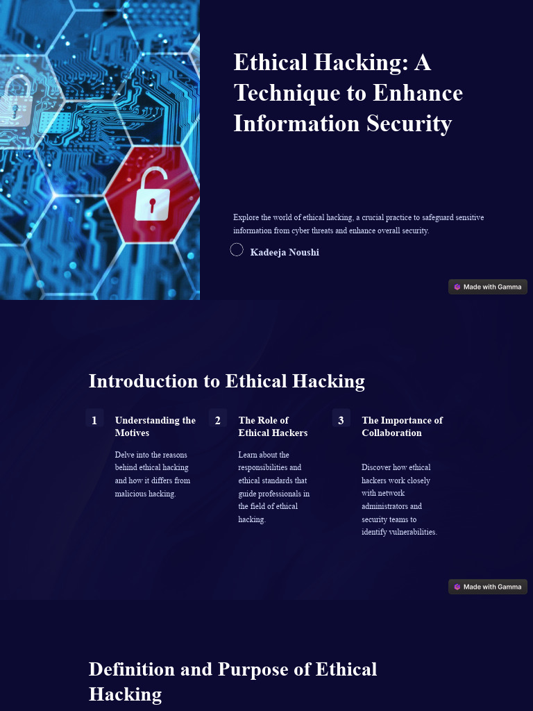 Noushi | PDF | Security Hacker | Security