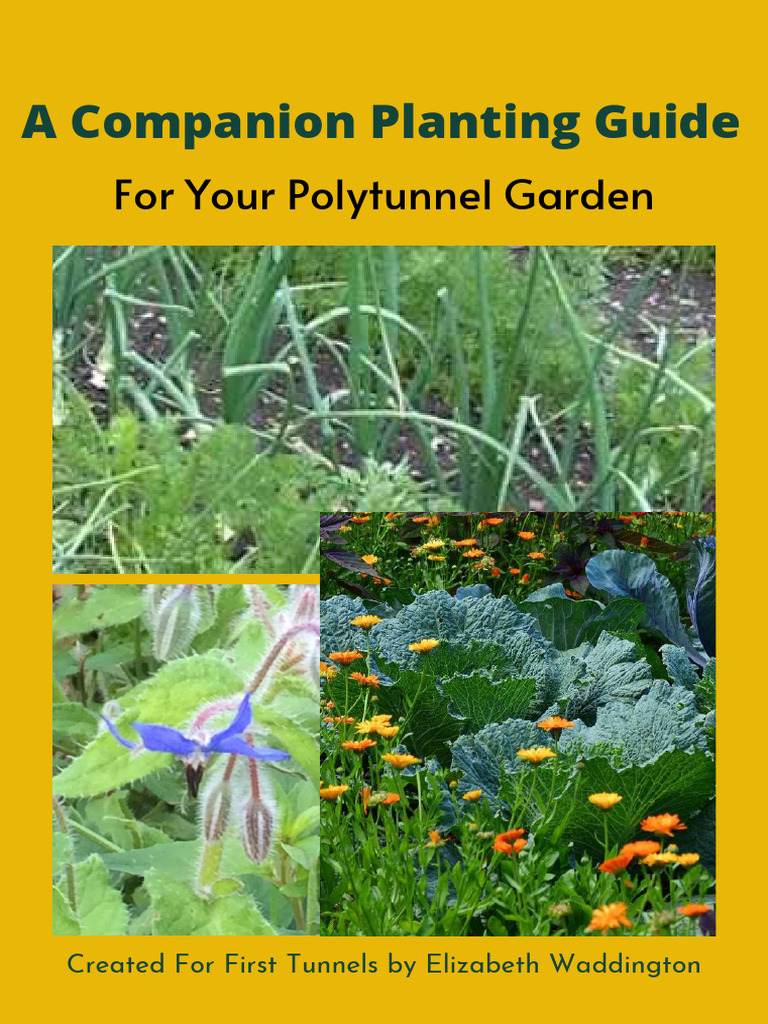 Polytunnel Companion Planting Guide | PDF | Perennial Plant | Forests
