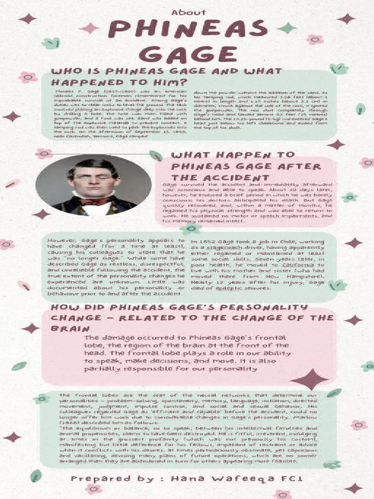 Phineas Gage | PDF