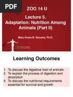 Constipation CHEO Handout | PDF | Constipation | Human Feces