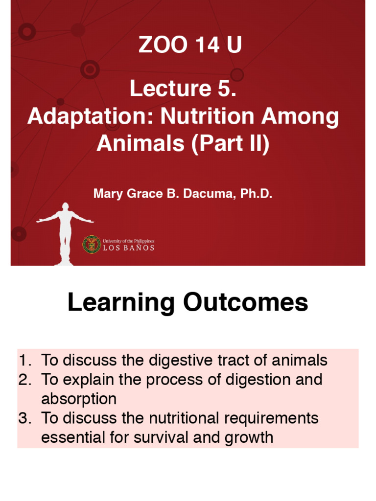 Lecture 5 Adaptation - Nutrition Part II | PDF | Pancreas | Digestion