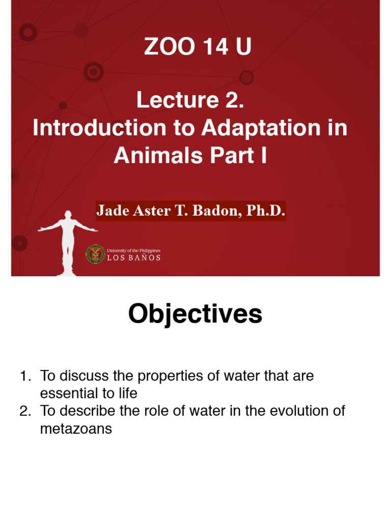 Lecture 2 Introduction To Adaptations (Supplementary Material ...