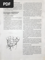 Mano en Garra: Causas y Tratamientos | PDF | Mano | Nervio