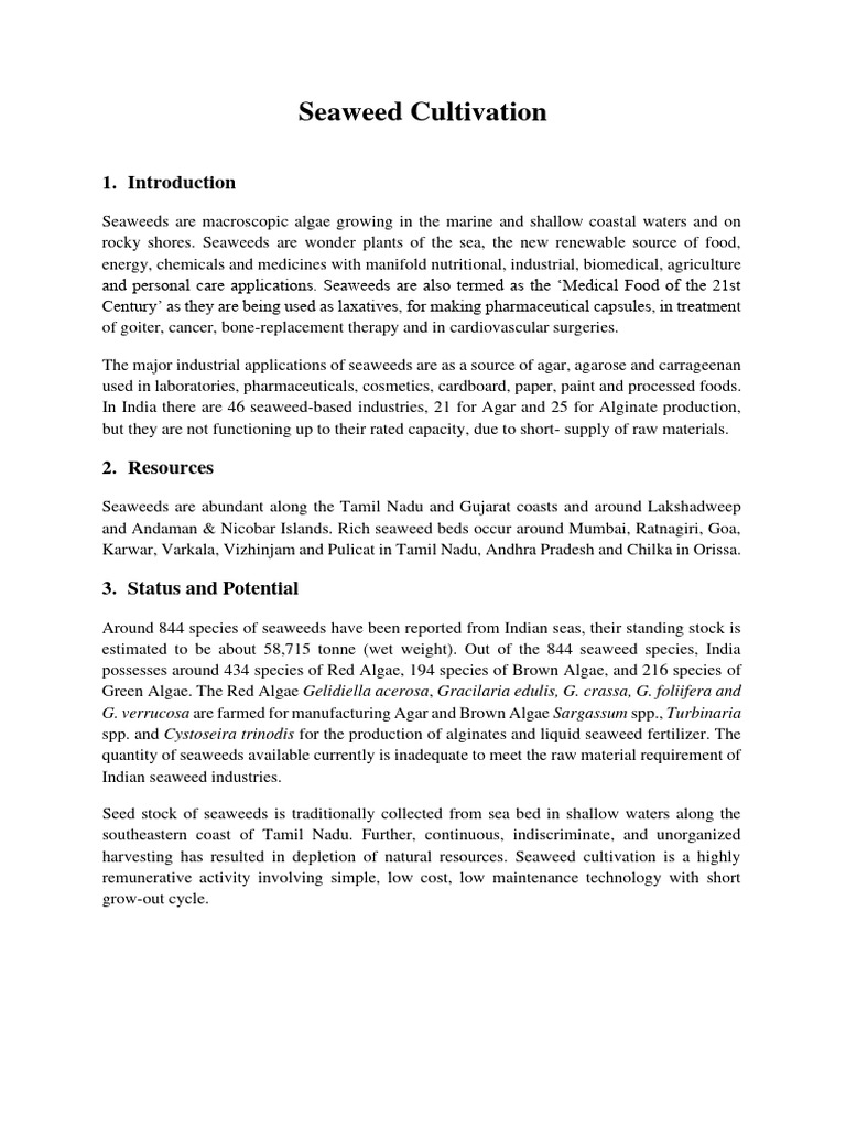 Seaweed Cultivation | PDF | Seaweed | Algae