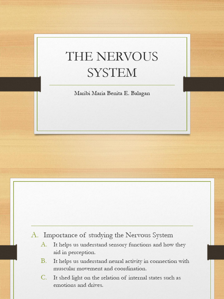 Neuroanatomical and Neurophysiological Bases of Behavior Lec | PDF ...