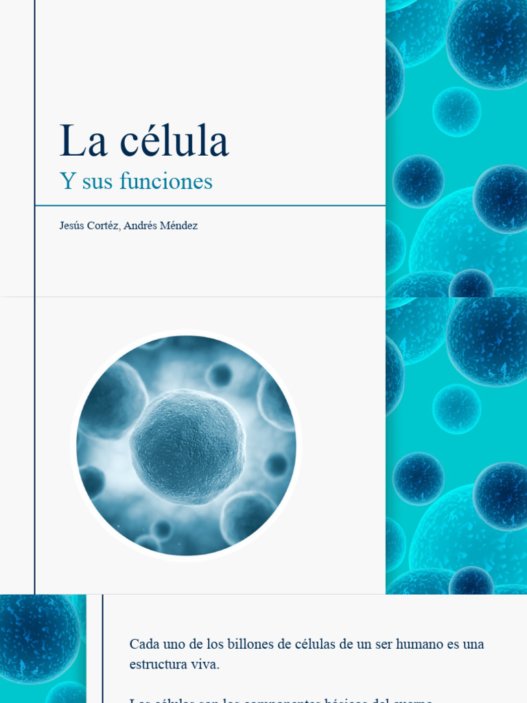 Capitulo 2 Fisio | PDF | Citoplasma | Retículo endoplásmico