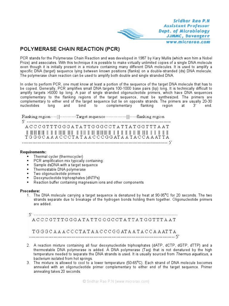 Polymerase Chain Reaction (PCR) : Requirements | PDF